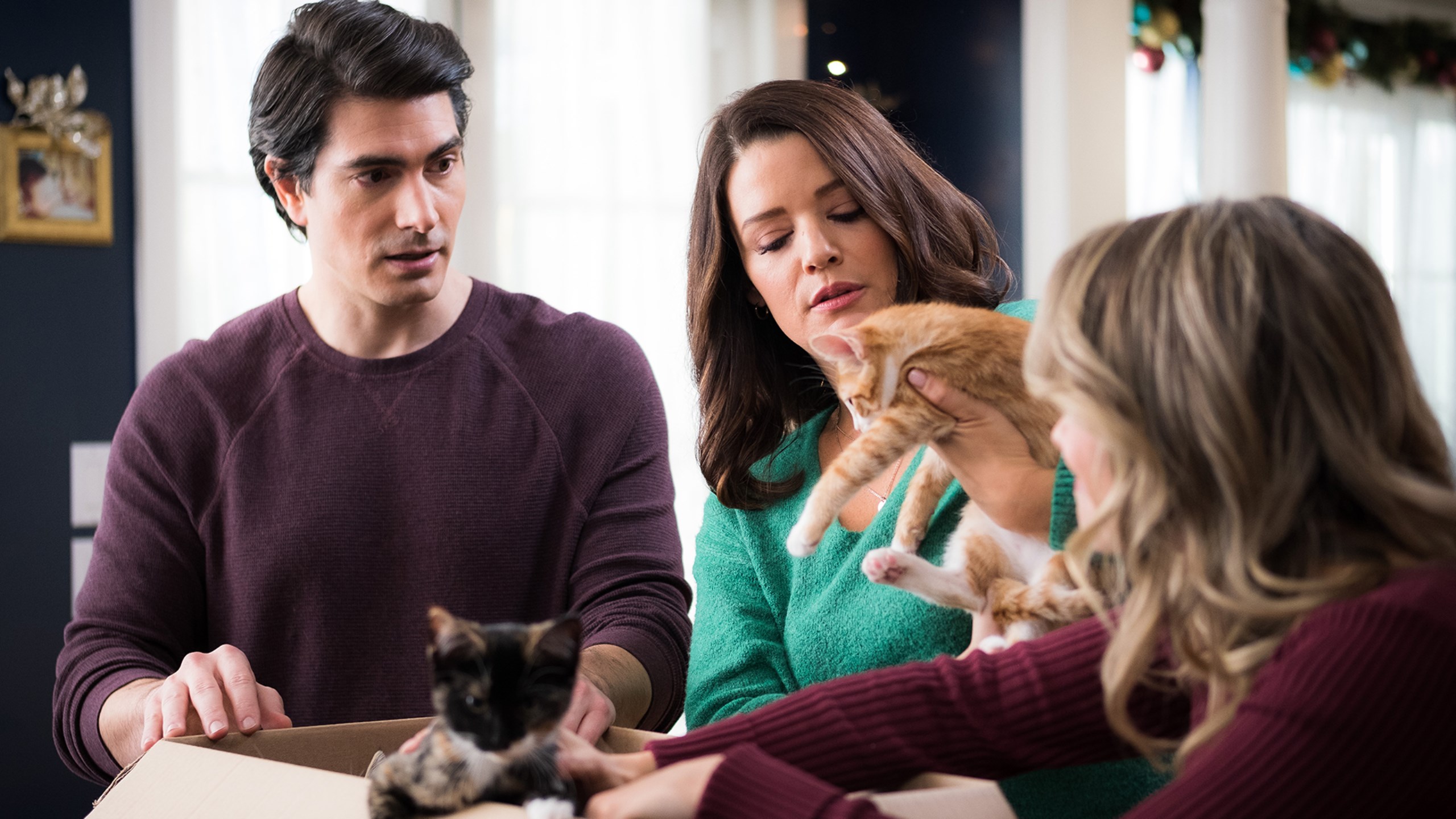 The Nine Kittens of Christmas Watch Full Movie From 2021 on WithLove